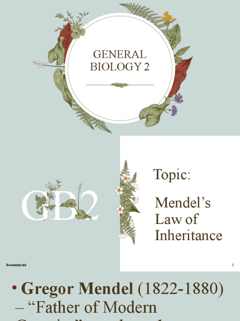 GB2 4. Mendels Law of Inheritance | PDF