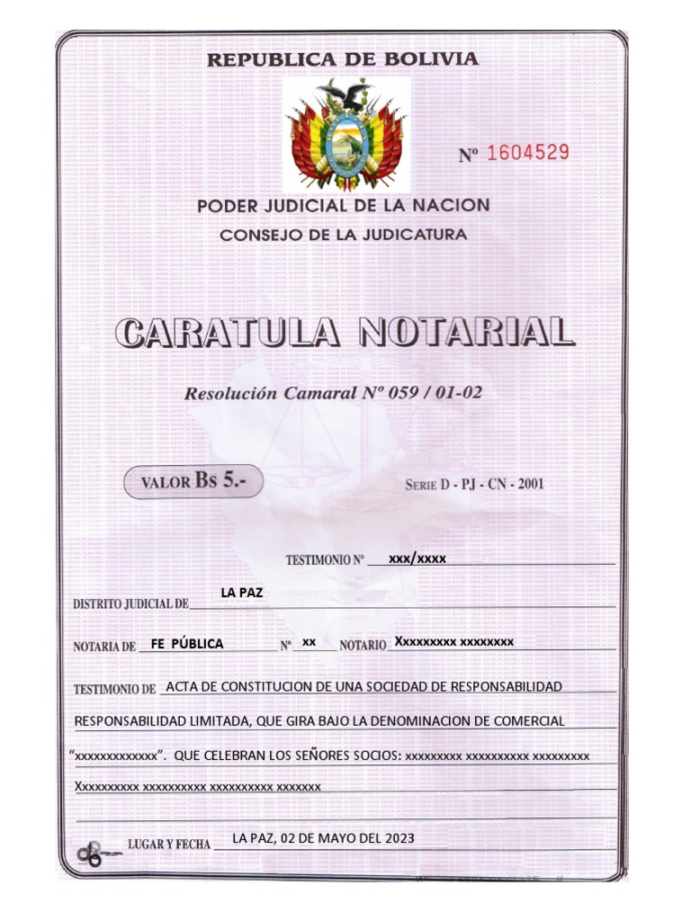CARATULA TESTIMONIO EJEMPLO.docx | PDF