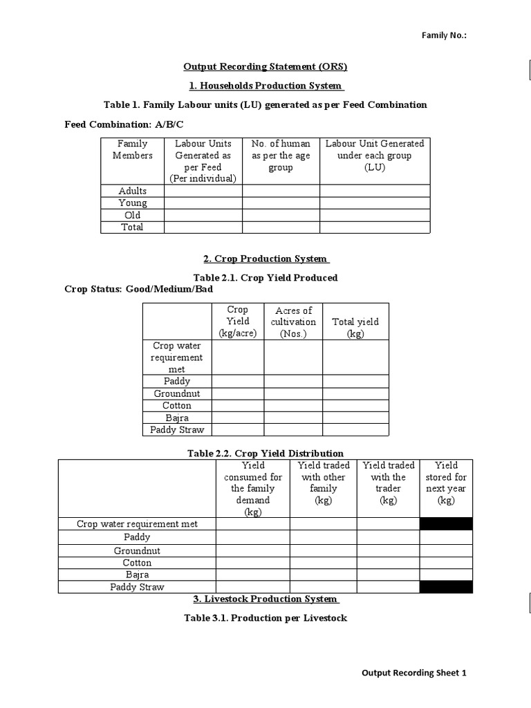 Output Recording Statement | PDF