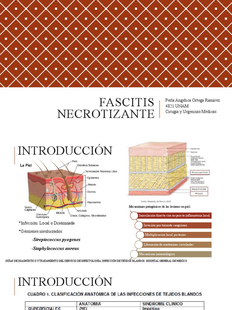 Clasificación y tratamiento de fascitis necrotizante | PDF