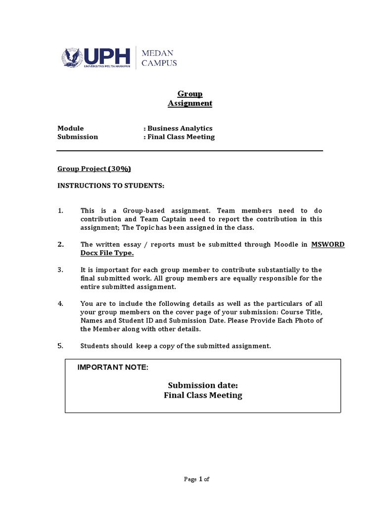 Business Intelligence Group Assignment Pdf