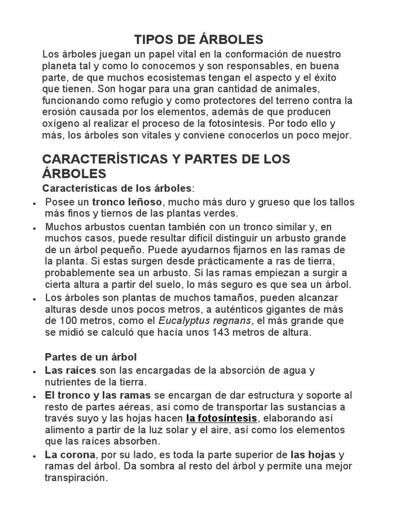 Tipos de Árboles y Ejemplos | PDF | Arboles | Hoja