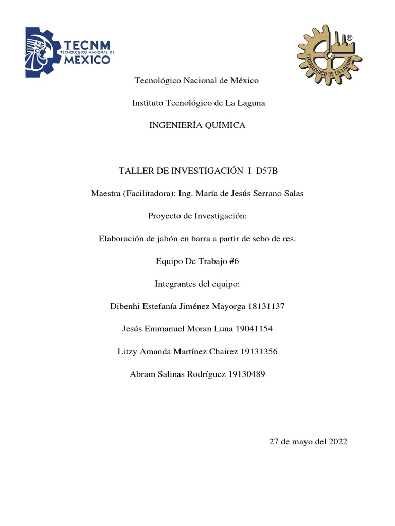 Proyecto Taller de Inv Final PDF | PDF