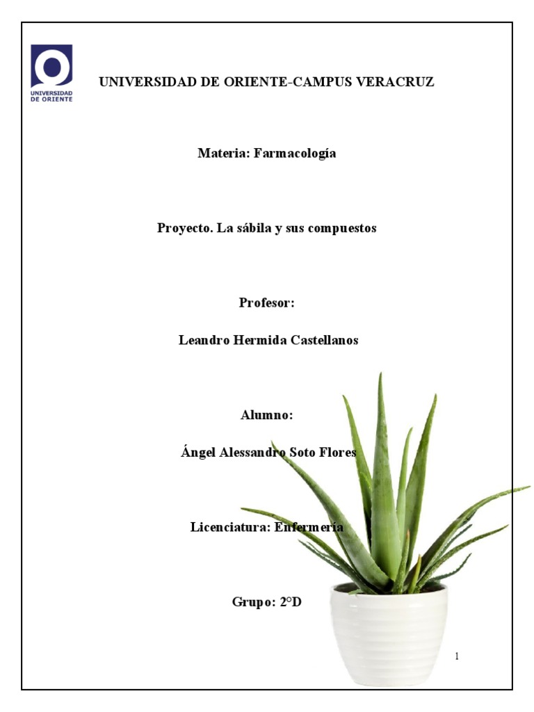 Beneficios de la Sábila en Salud | PDF | Plantas medicinales | Plantas