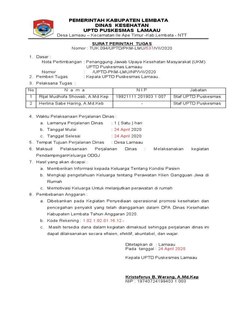 Contoh SPT ODGJ | PDF
