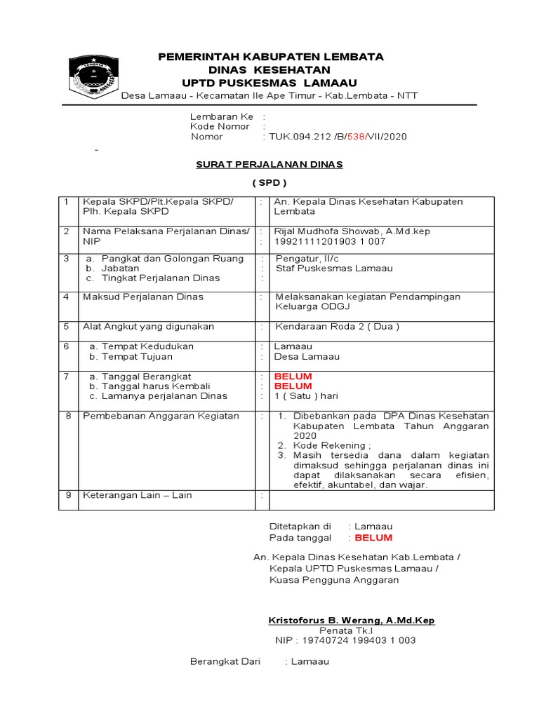Contoh SPD ODGJ | PDF