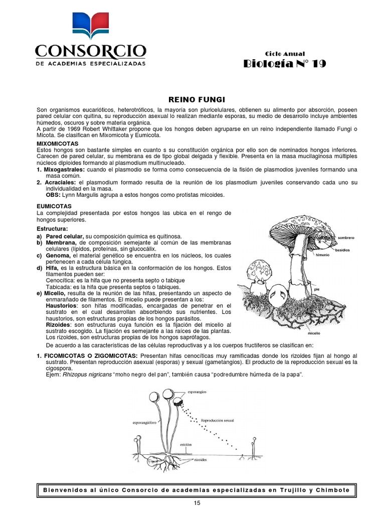 Bio. (19) Reino Fungi 15 - 18 PDF | PDF