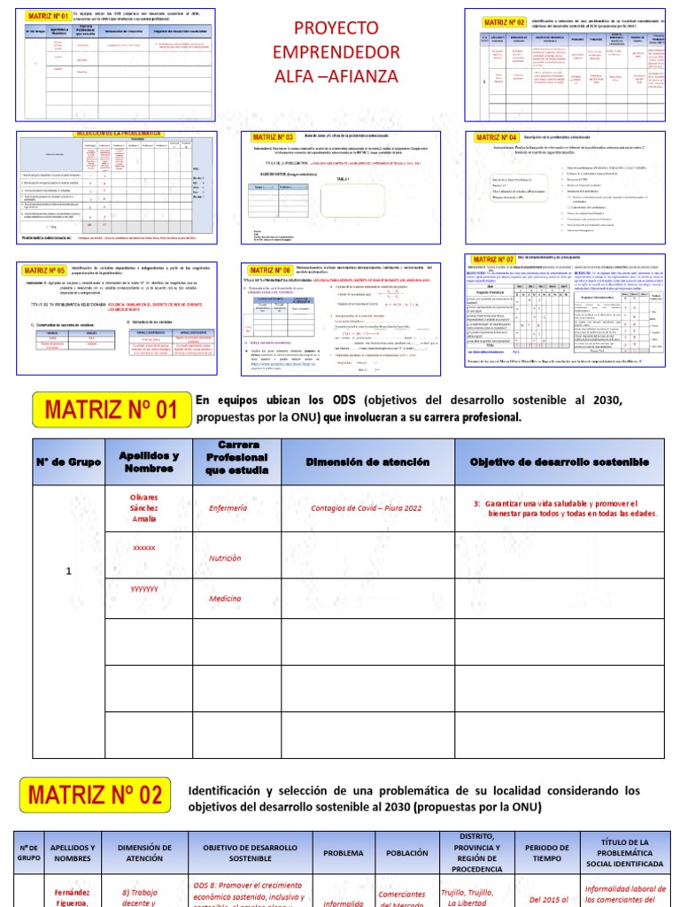 1A.PROCESOS Del PROYECTO ALFA EMPRENDEDOR PDF | PDF