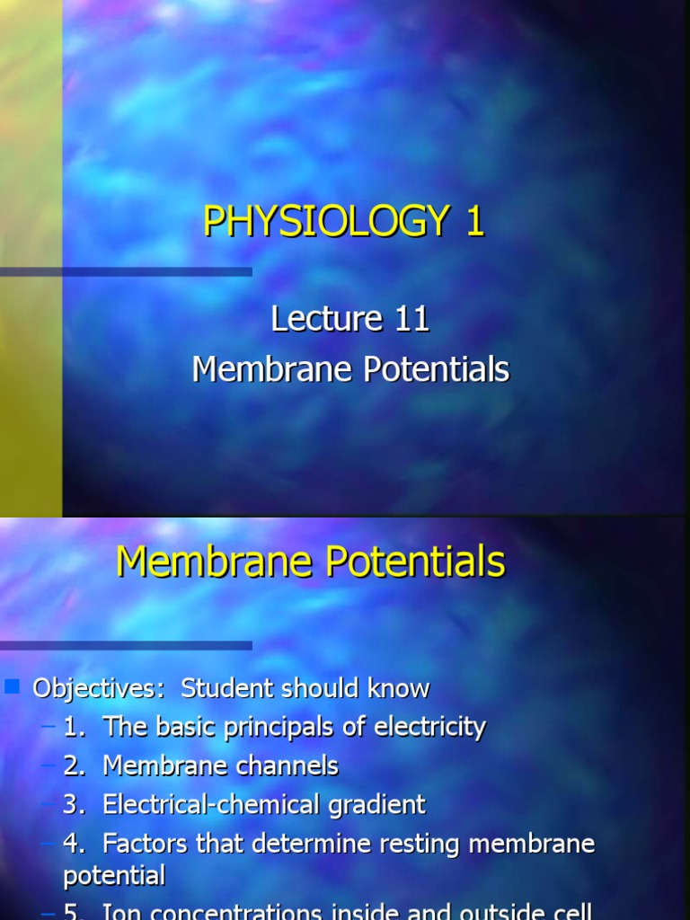 Lec. 11new - 05 - Membrane Potentials | PDF