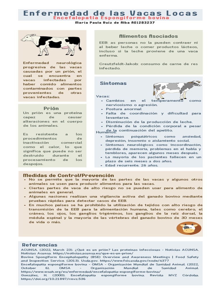 Enfermedad de Las Vacas Locas PDF | PDF