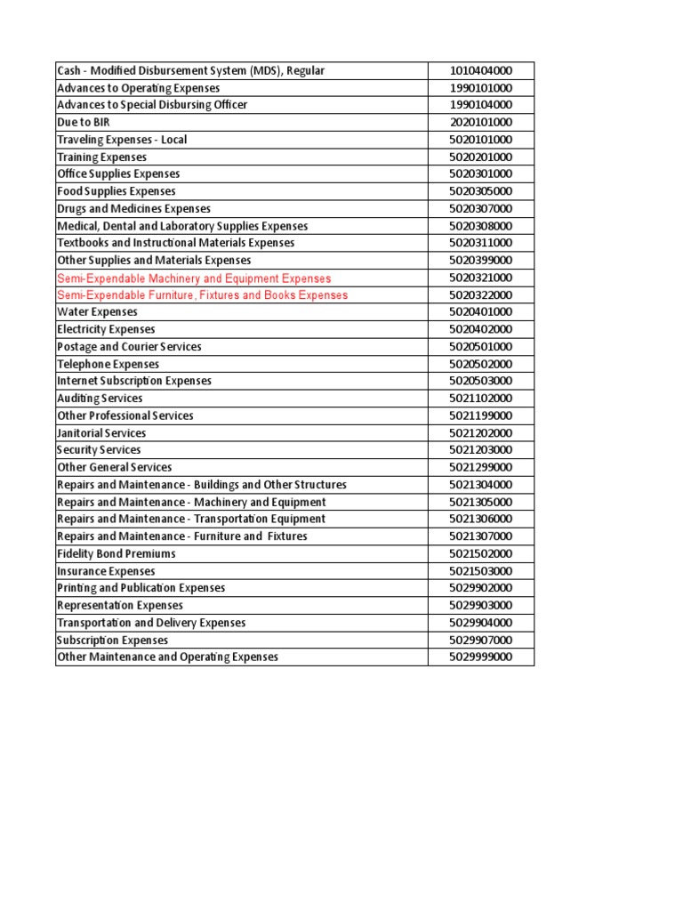 NEW Liquidation Report Format For MOOE | PDF