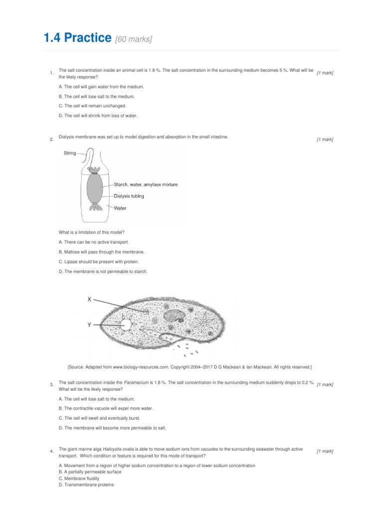 1.4 Practice PDF | PDF