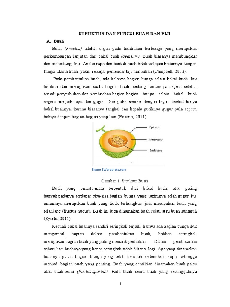 KLP 5 - Struktur Dan Fungsi Buah Dan Biji-1 | PDF