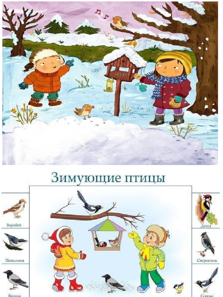 Iarna in imagini | PDF