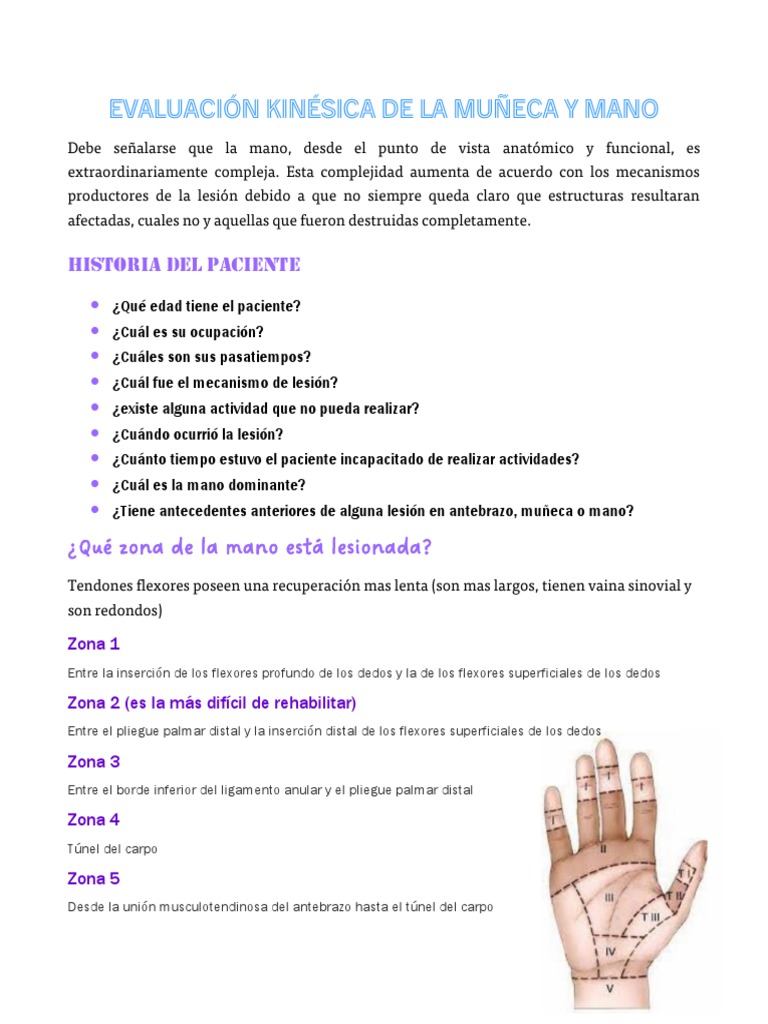Evaluación Muñeca y Mano | PDF