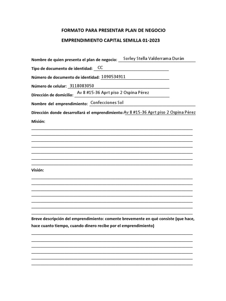 Formato para Presentar Plan de Negocio PDF | PDF