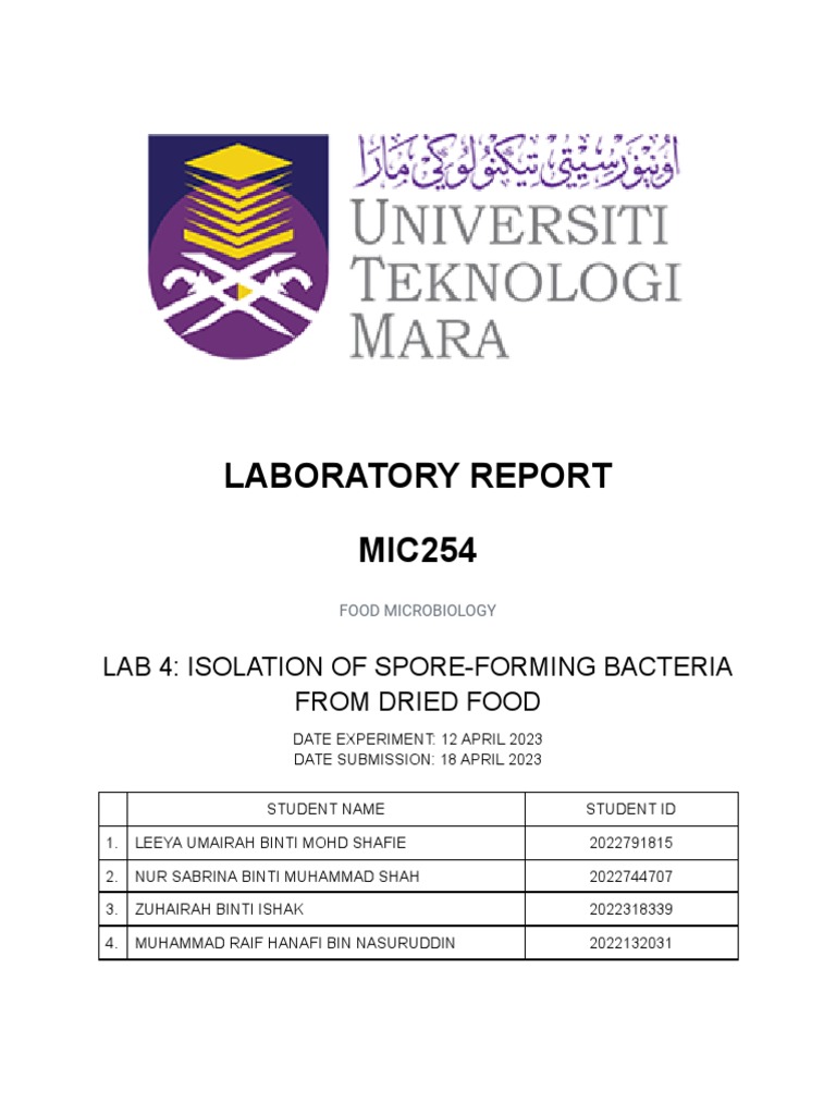 Mic254 Lab Report Exp 4 | PDF