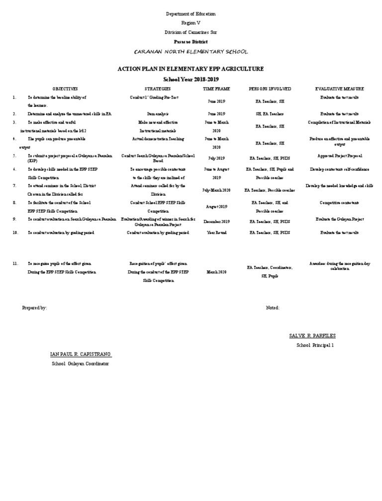 Actin Plan Sample EPP | PDF