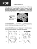 Clasificacion de Frykman | PDF