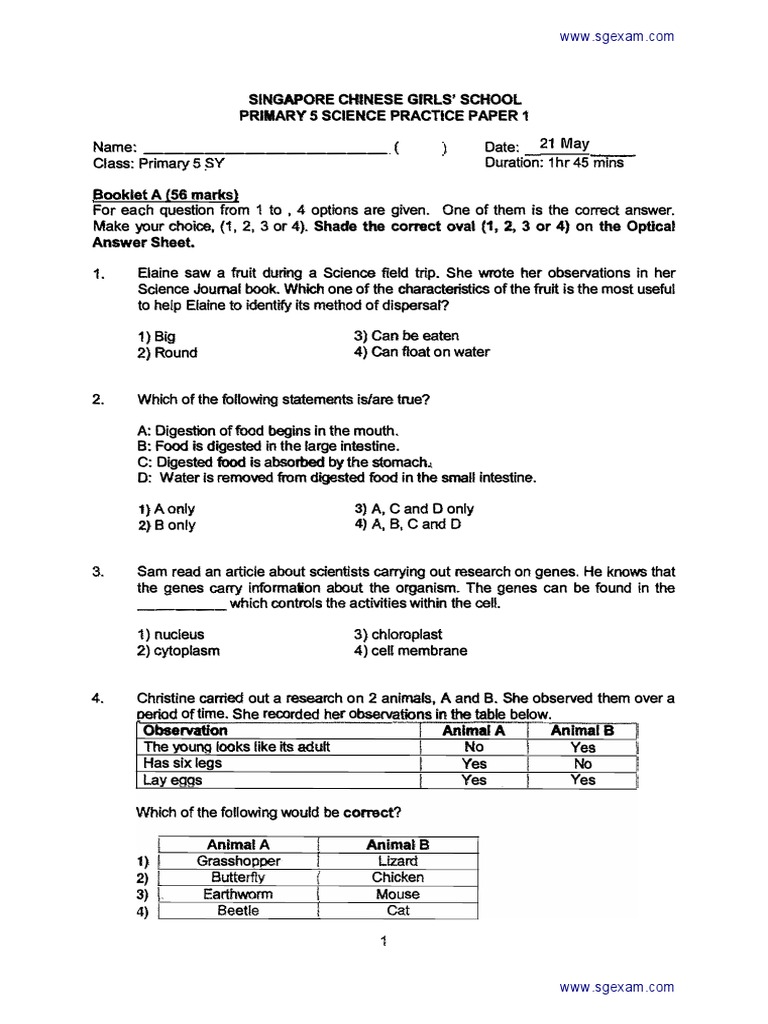 Primary 5 Science Practice Test | PDF | Digestion | Biology