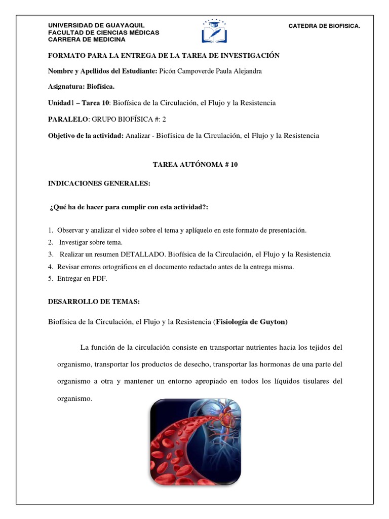 Formato Detrabajo Autonomo - Tarea 10 PDF | PDF