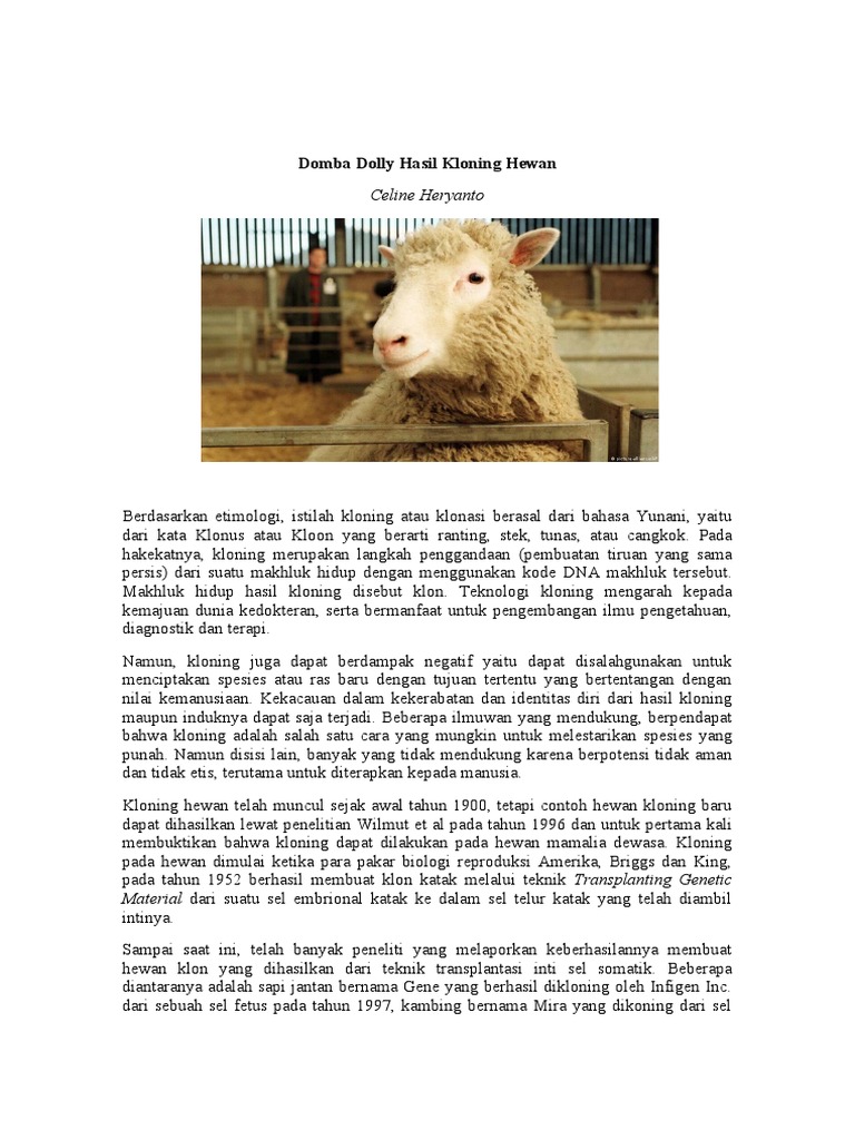 Domba Dolly Hasil Kloning Hewan | PDF