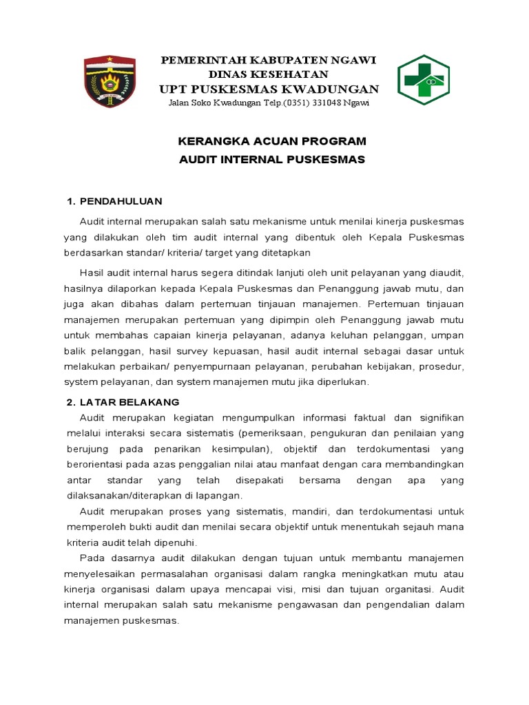 Kap Audit | PDF
