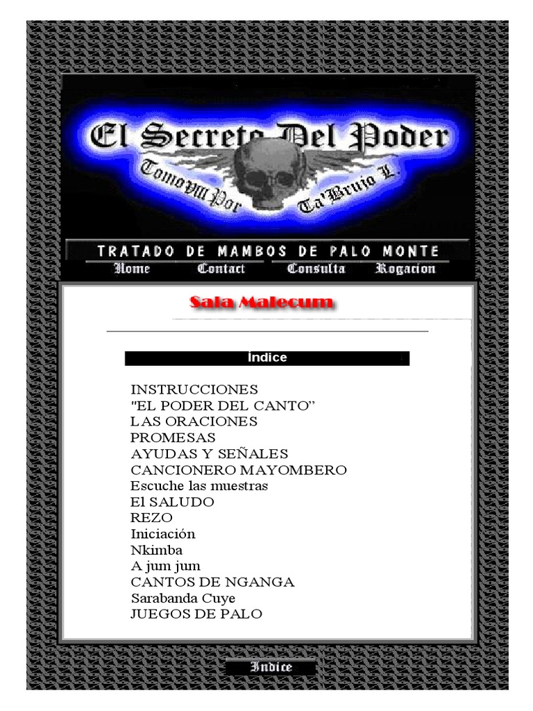 El Secreto Del Poder Tomo VIII PDF | PDF