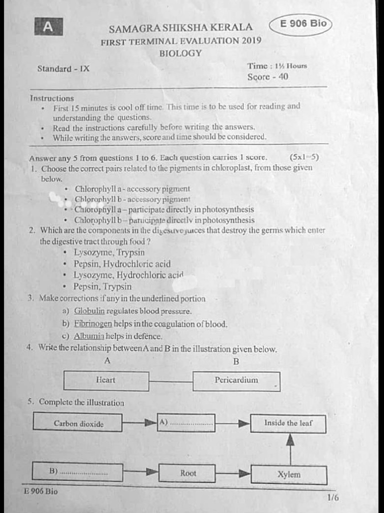 Kerala Class 9 First Term Onam Exam Question Paper 2019 - Biology (EM ...