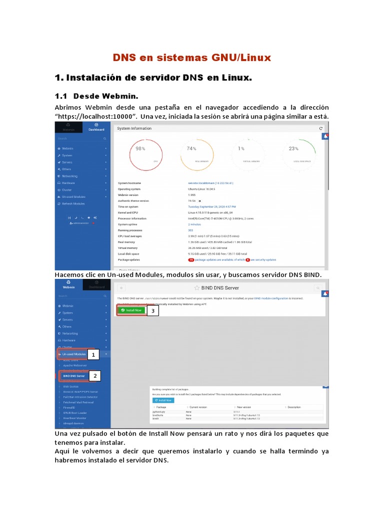 DNS en Sistemas Linux PDF | PDF | sistema de nombres de dominio | Arquitectura de internet