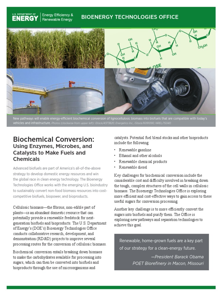 Biochemical Conversion of Biomass to Biofuels | PDF | Biofuel ...