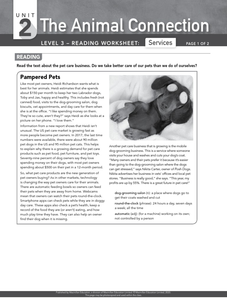 SYM 3 U02 ReadingWorksheet | PDF | Home & Garden