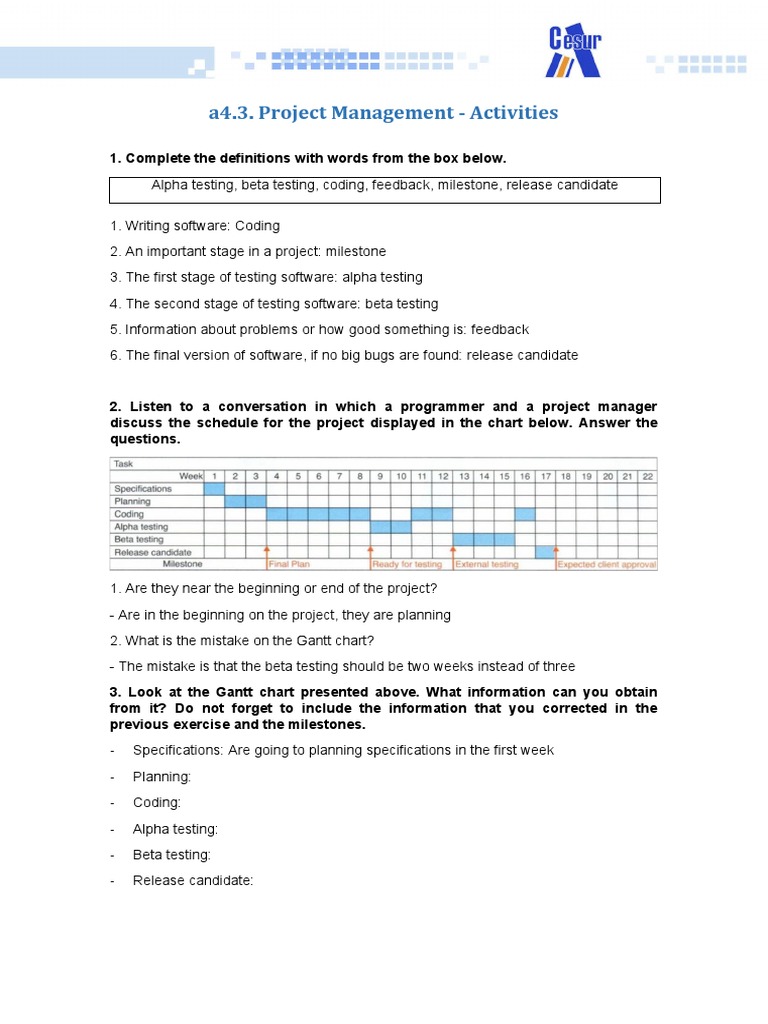 4.3. Project management.doc | PDF