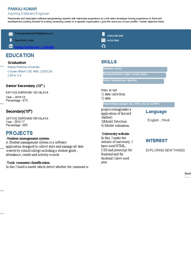 Aspiring Software Engineer Profile | PDF