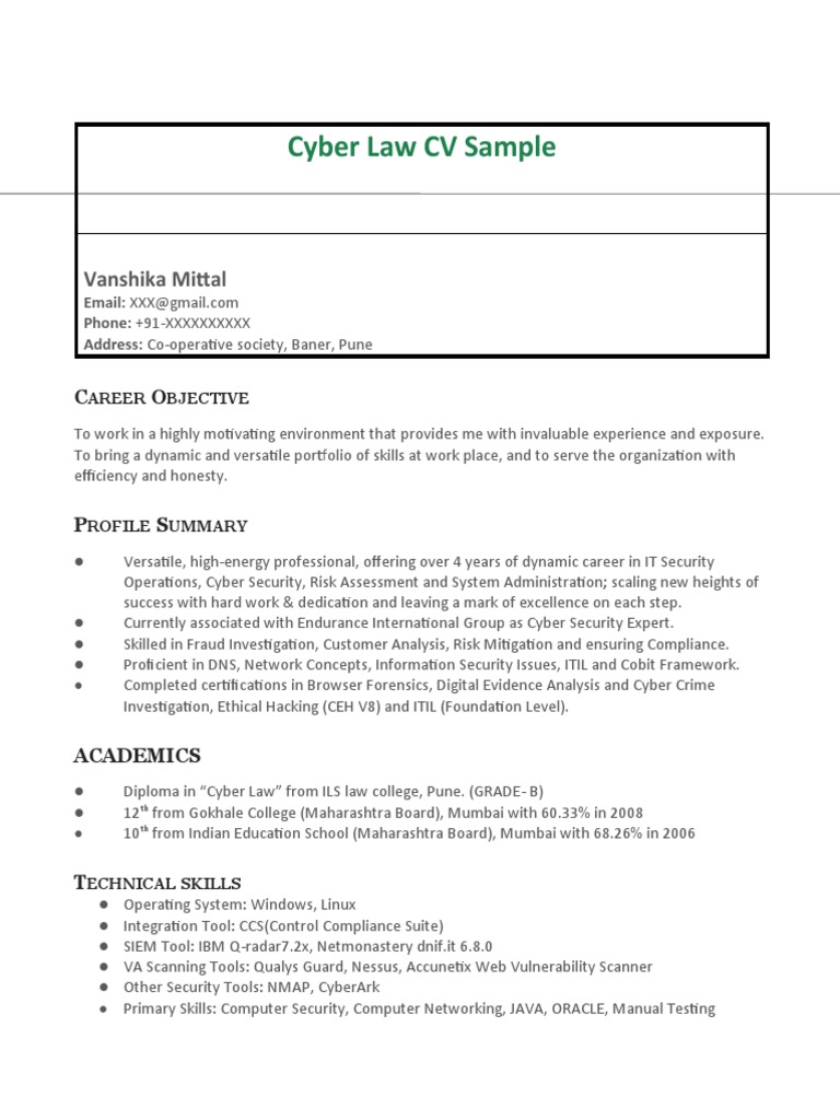 Cyber Law CV Sample - 2 | PDF | Business | Technology & Engineering