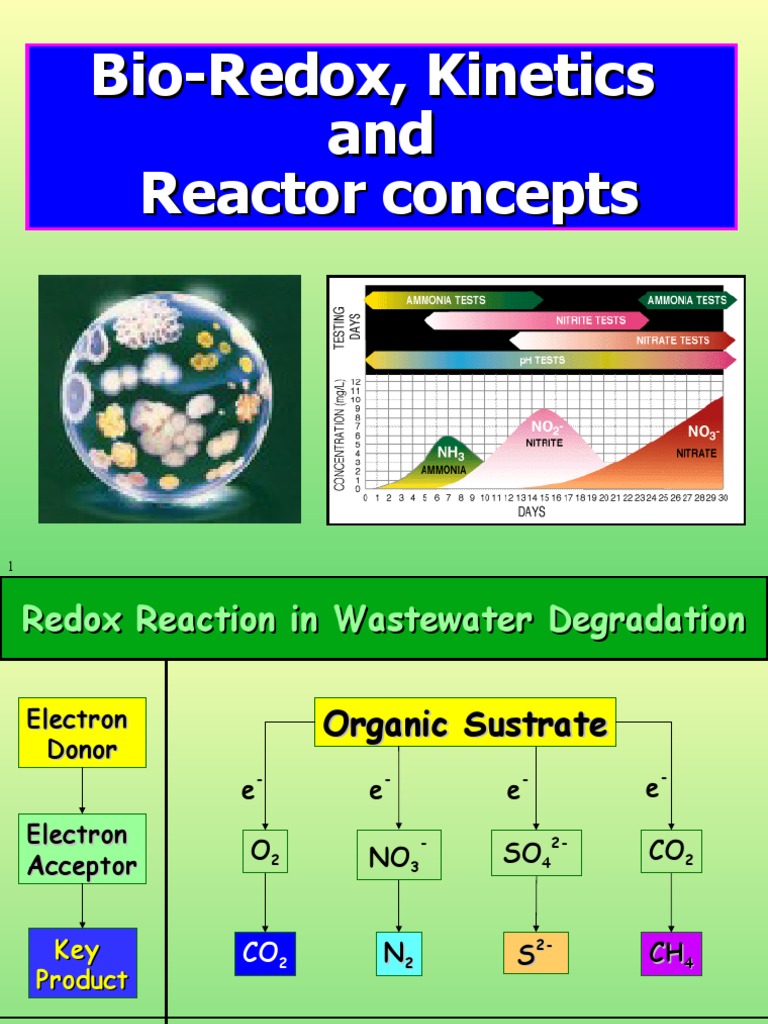 Bio Reactor Kinetic and Reactor Concepts | PDF | Chemical Process ...