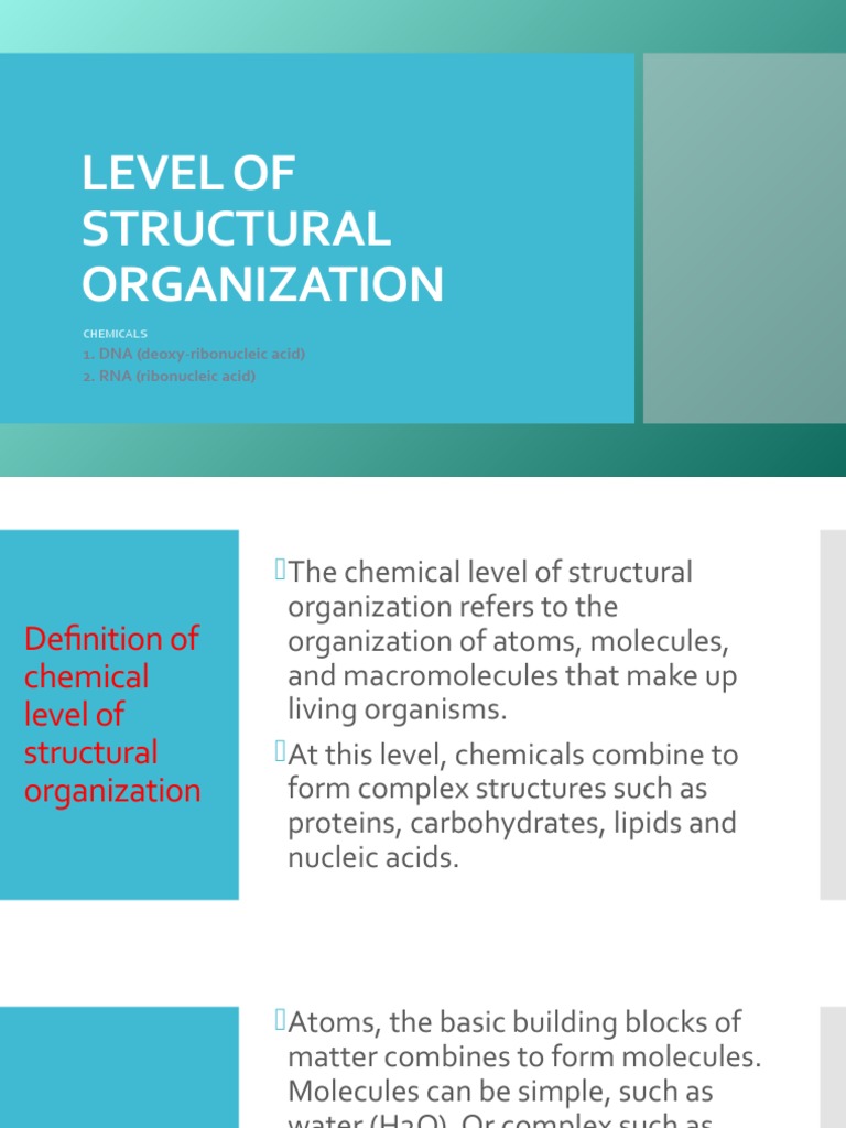 Level of Structural Organization | PDF