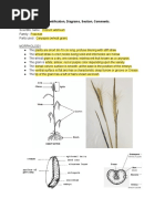 Plant Identification with Dichotomous Key | PDF | Taxa | Botany