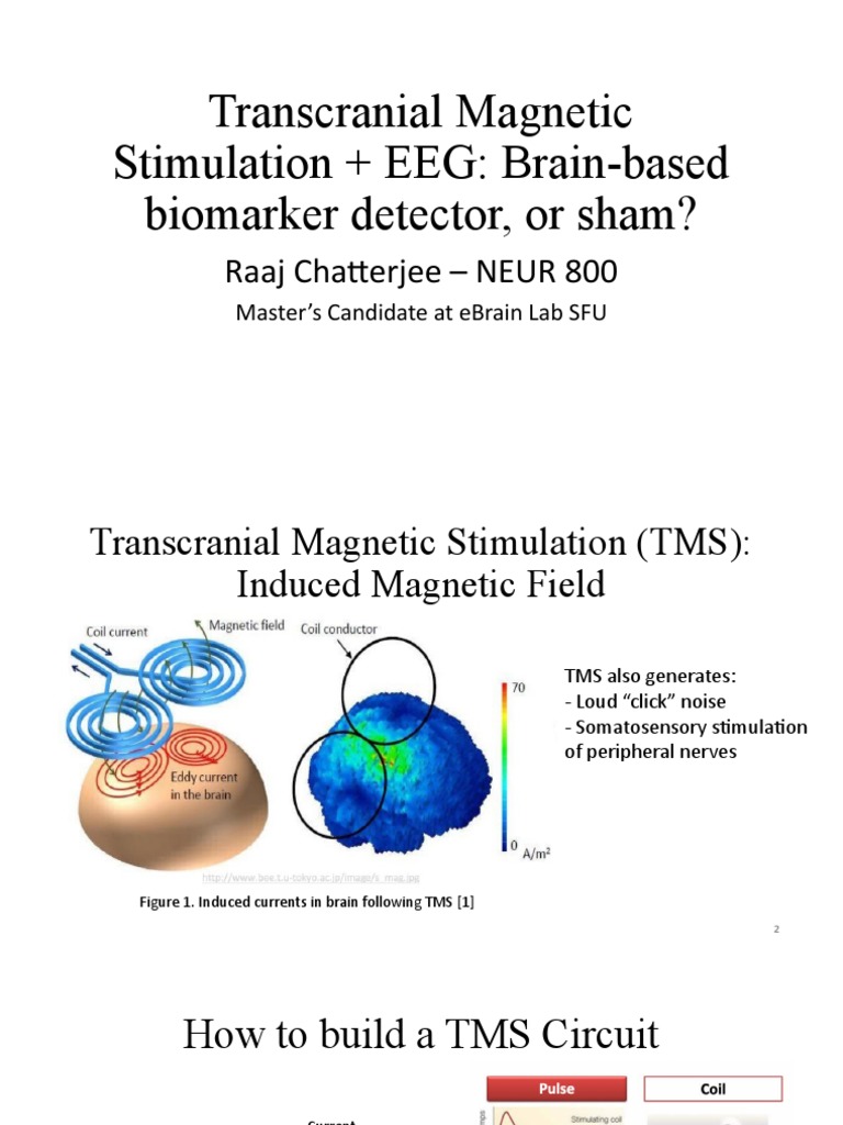 TMS EEG NEUR800 Raaj | PDF