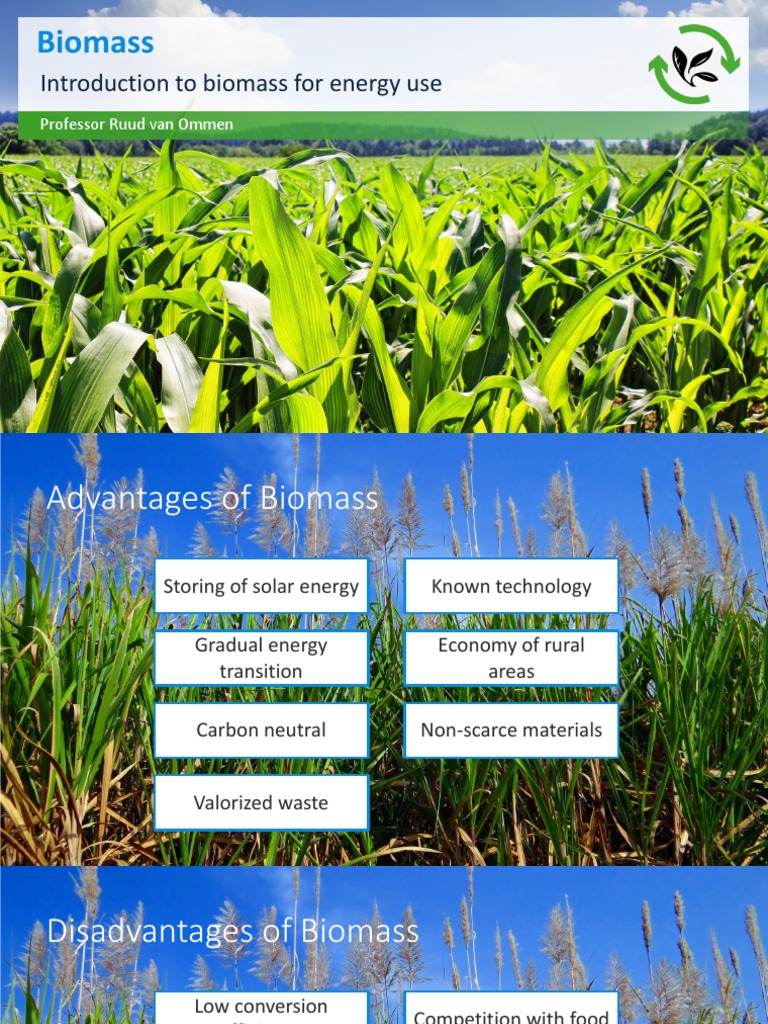 RE MOOC W7 Biomass PDF | PDF