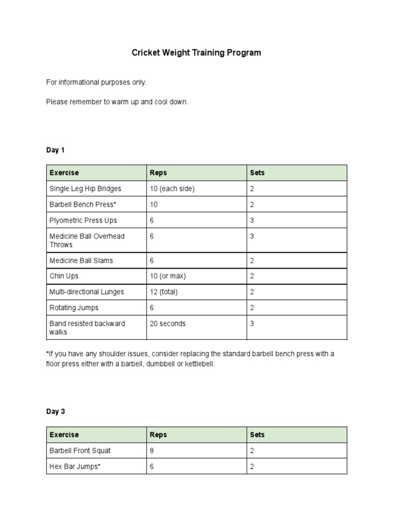 Cricket Gym Training Programme | PDF
