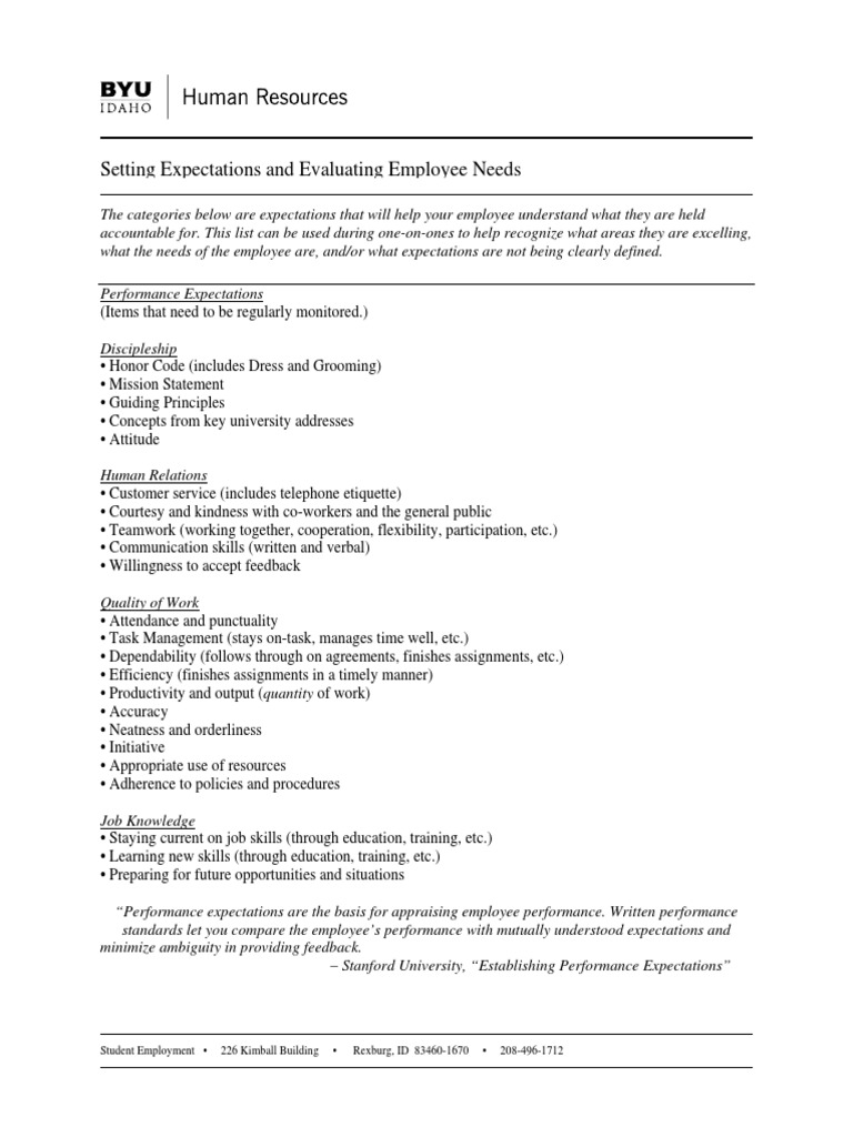 Employee Performance Expectations Guide | PDF | Business | Art
