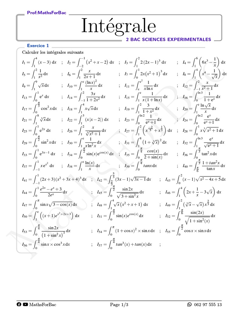 14 Integrale PDF | PDF