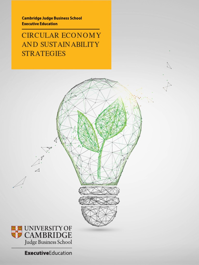 Brochure Cambridge SUST 20-07-2022 V20 PDF | PDF