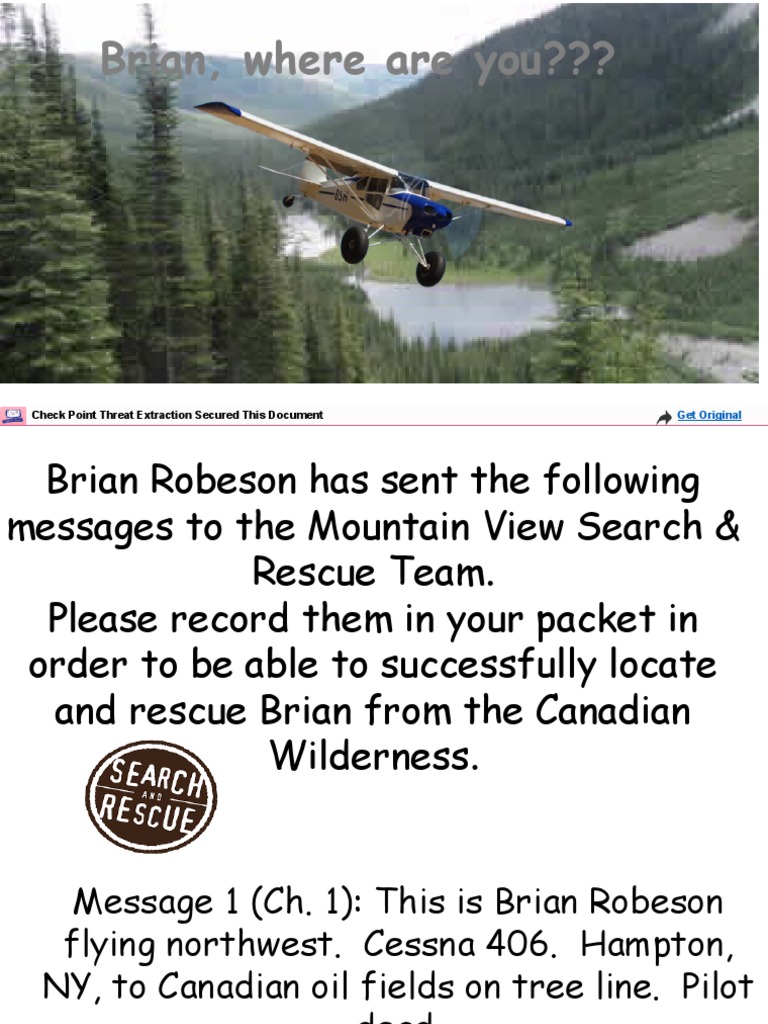 Hatchet- Where is Brian Group activity.cleaned | PDF