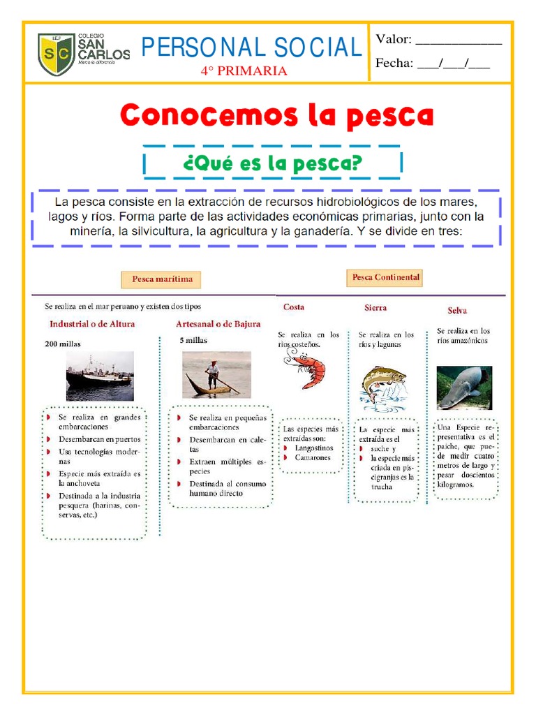 Conocemos La Pesca - Clase | PDF