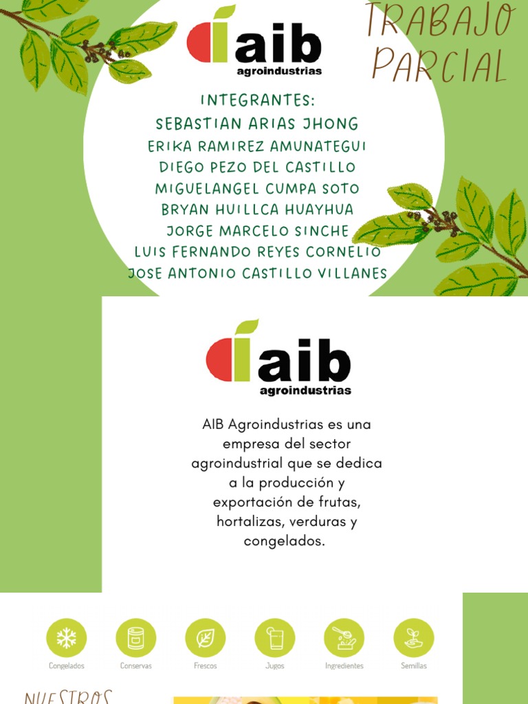 Avance Del Proyecto - Grupo 2 - Agroindustrial AIB PDF | PDF