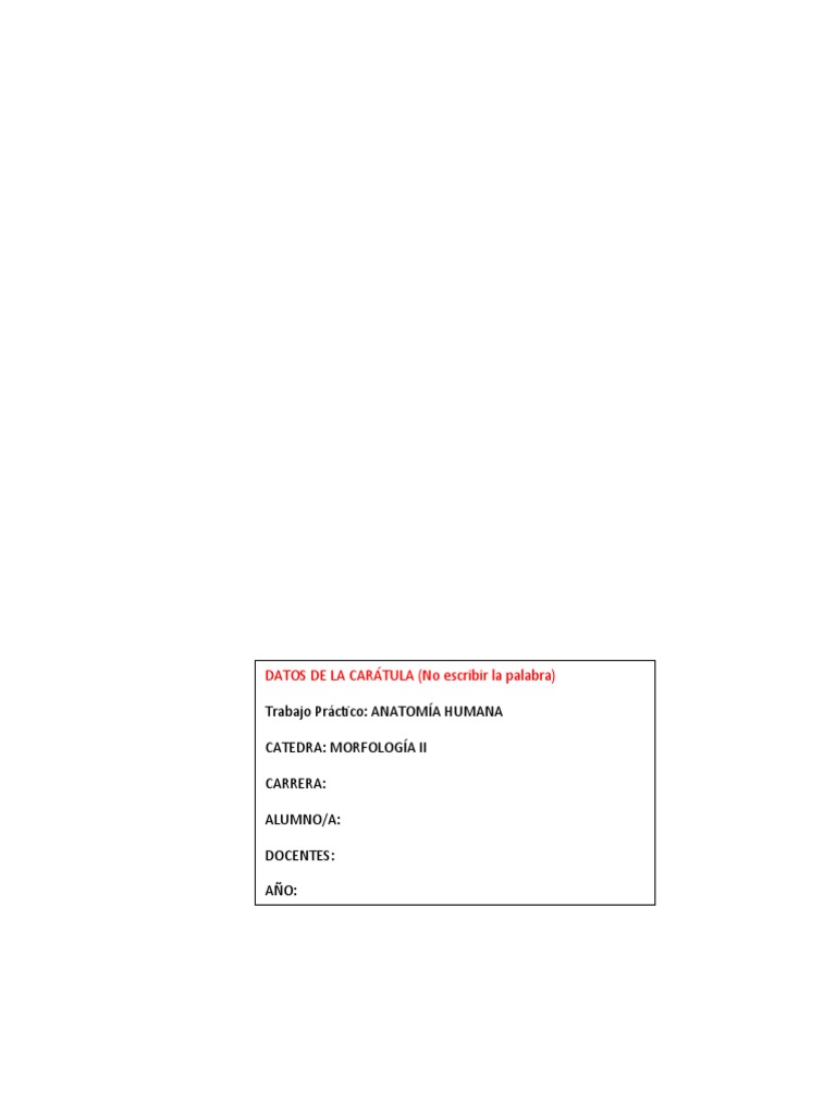 Tp Anatomía Humana Guia Indice Pdf
