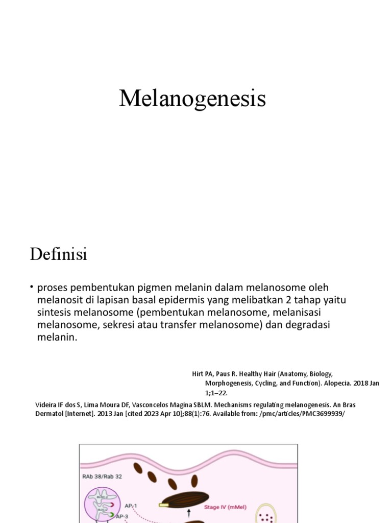 Melanogenesis | PDF
