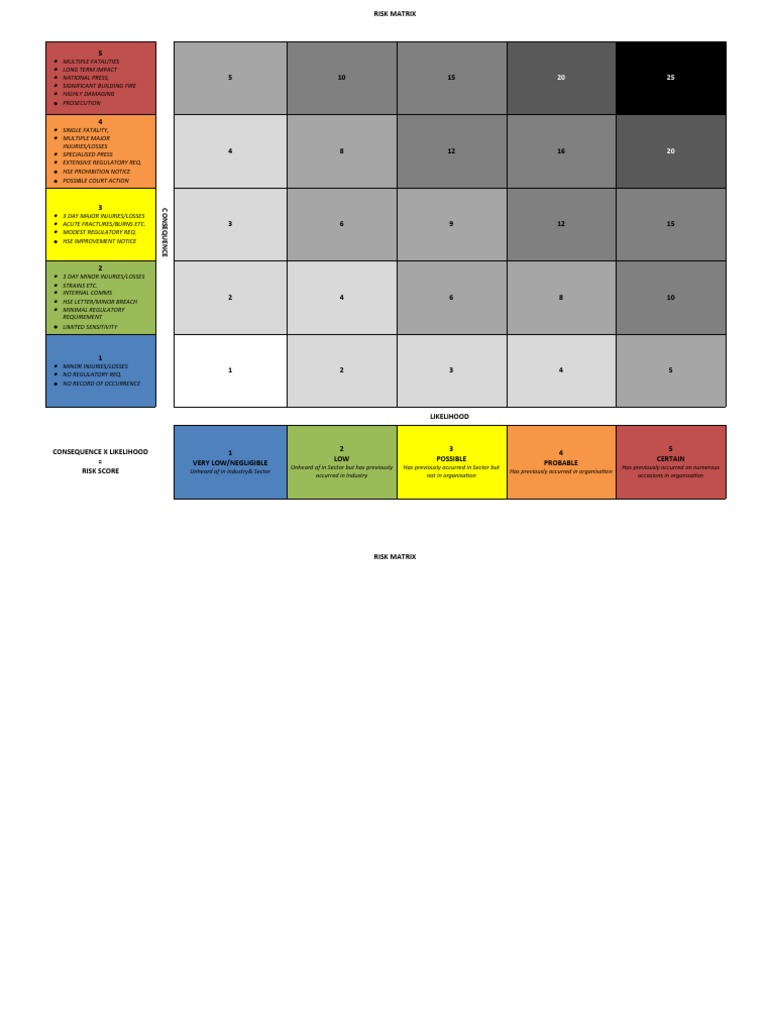 NEW DRAFT RISK PROFILE Blank MATRIX | PDF | Risk | Safety